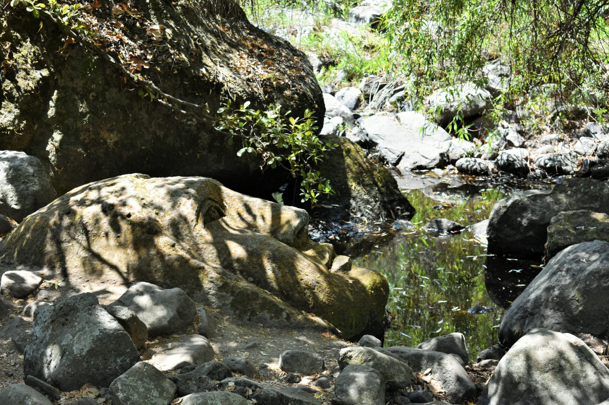 CABEZAS GIGANTES DE ESCOLÁSTICAS - Turismo Pedro Escobedo