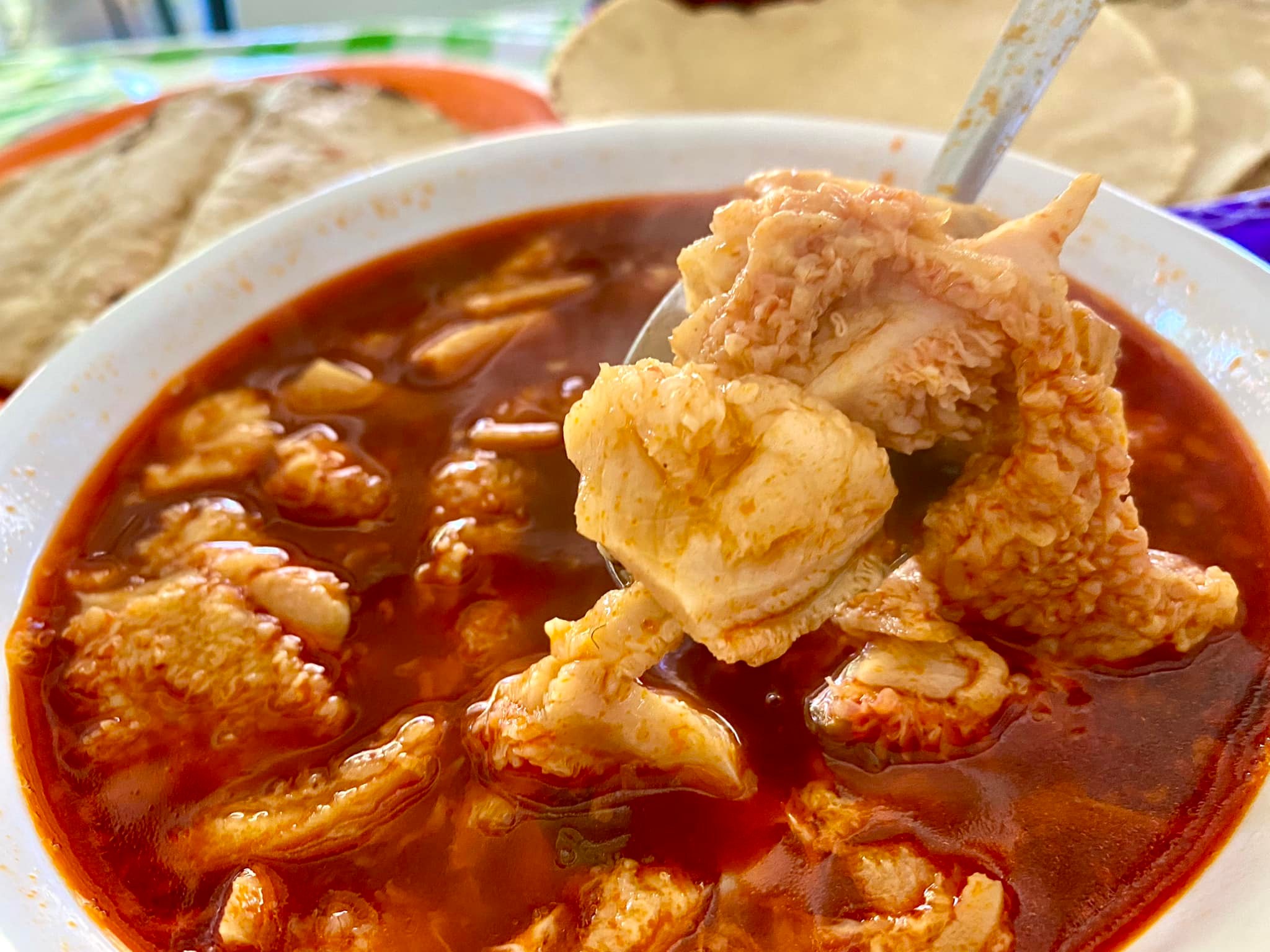 MENUDO EL ORIGINAL - Turismo Pedro Escobedo